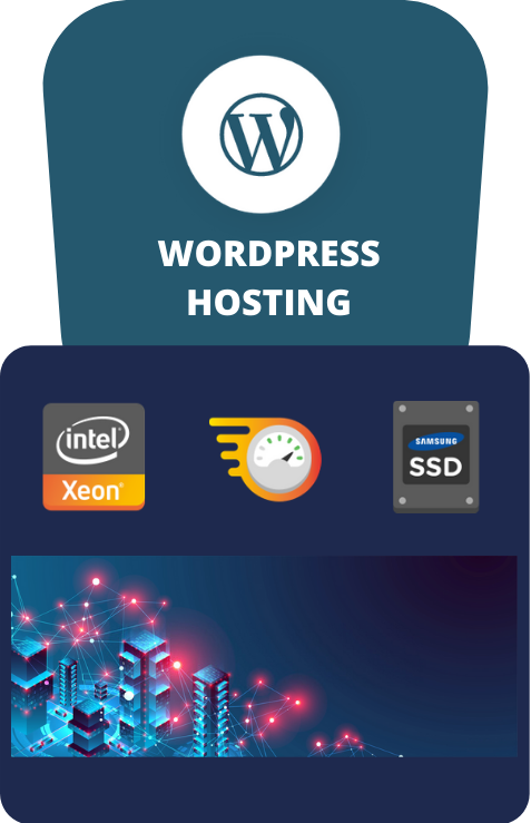 WordPress Hosting South Africa - AMHost